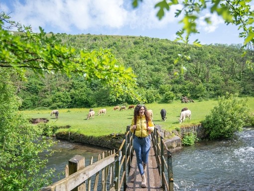 England & UK Tourism Industry Website | VisitBritain.org