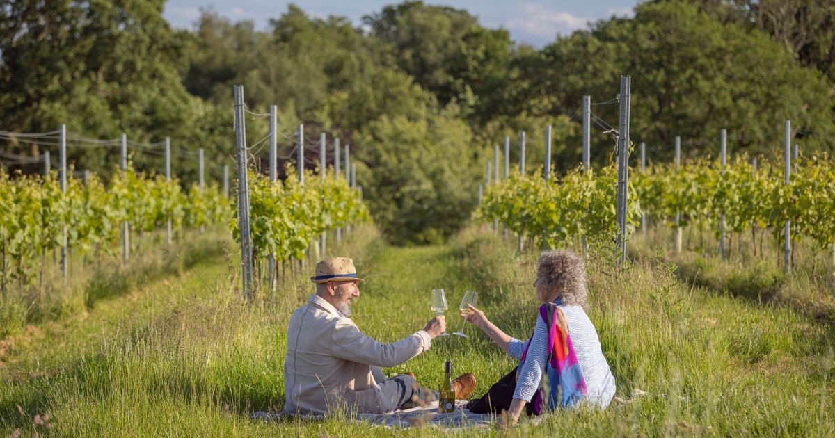Britain’s wine revolution: Domaine Evremond launch puts spotlight on sparkling wine sector ...